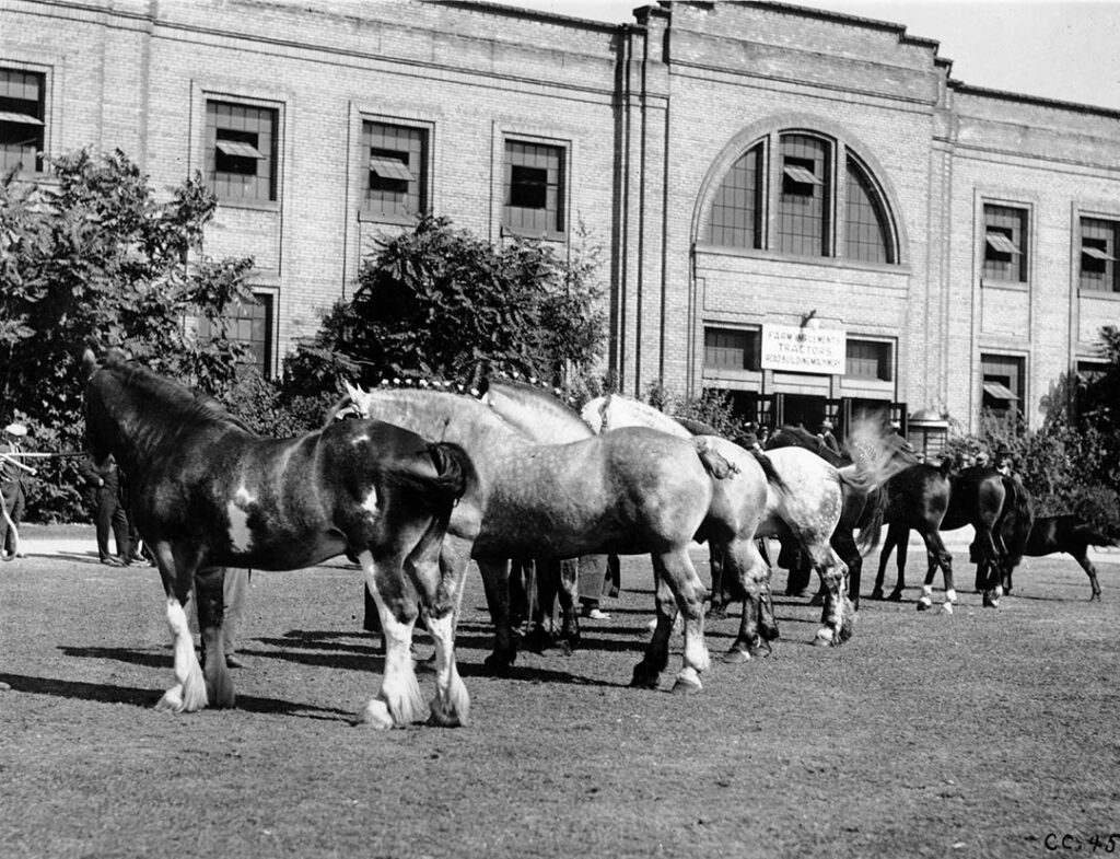 Horse Showing, 1934 – CNE Heritage