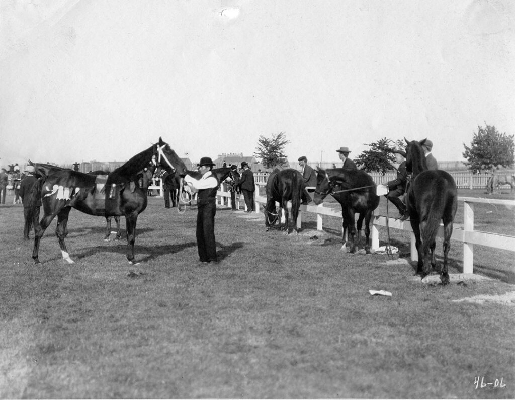 Horse Show Winners 1906 – CNE Heritage
