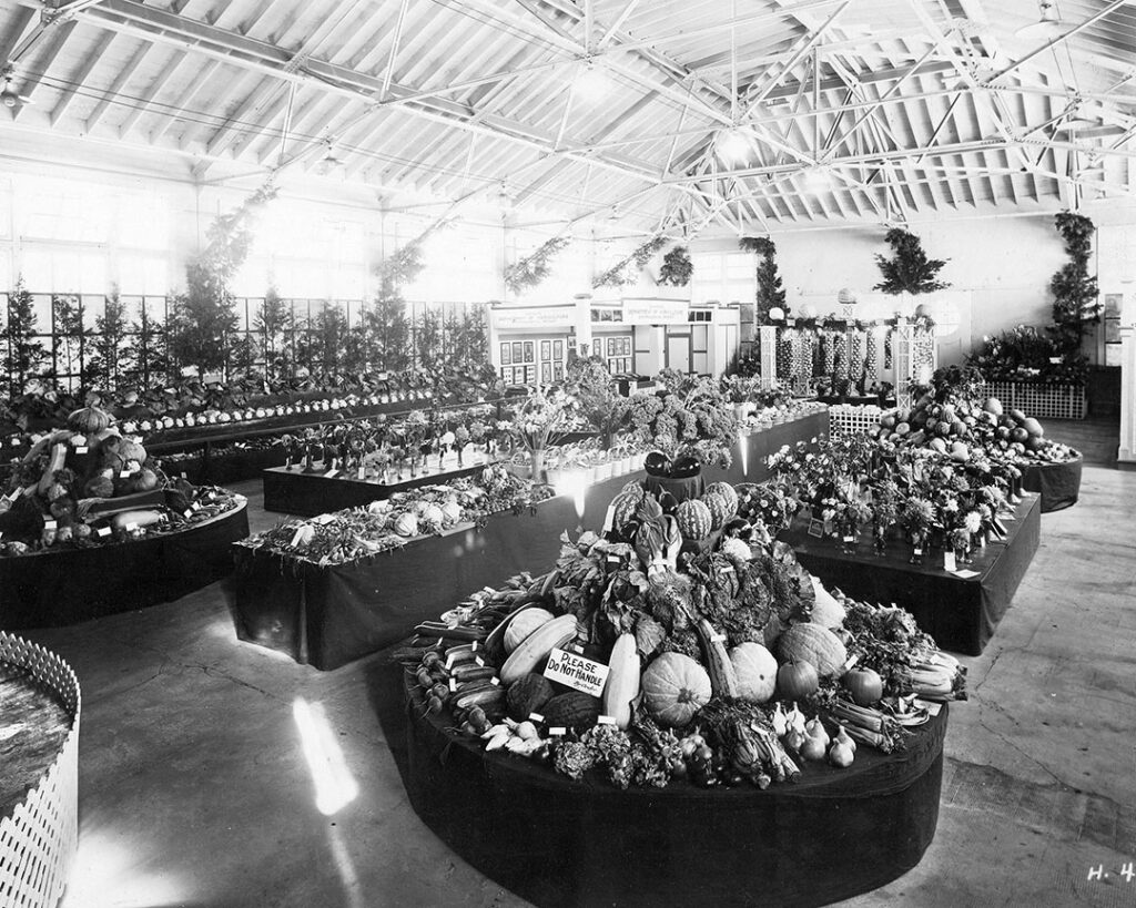 Vegetable Exhibit, 1928 – CNE Heritage